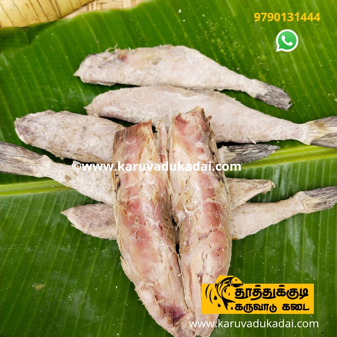 Lady Fish (உரித்தகிழங்கான்)