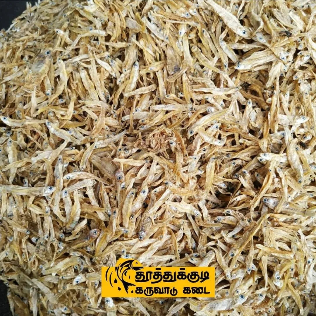 Indian Spiny Loach (அயரை)